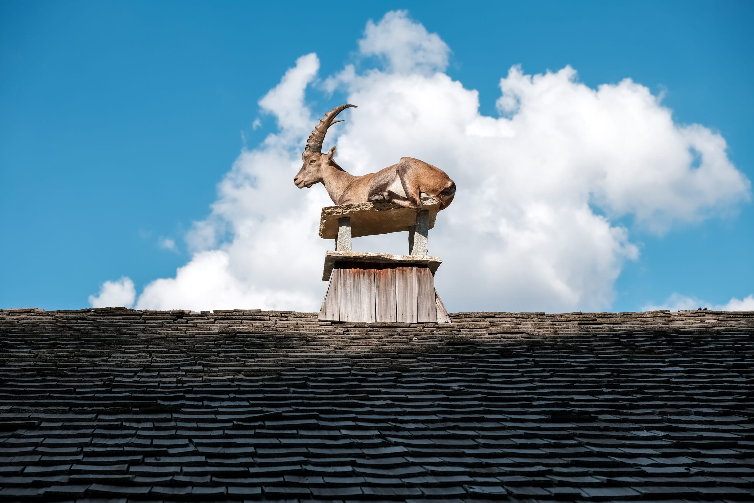 7 Unexpected Ways Roofs Get Damaged (and How to Prevent Them) - Master ...